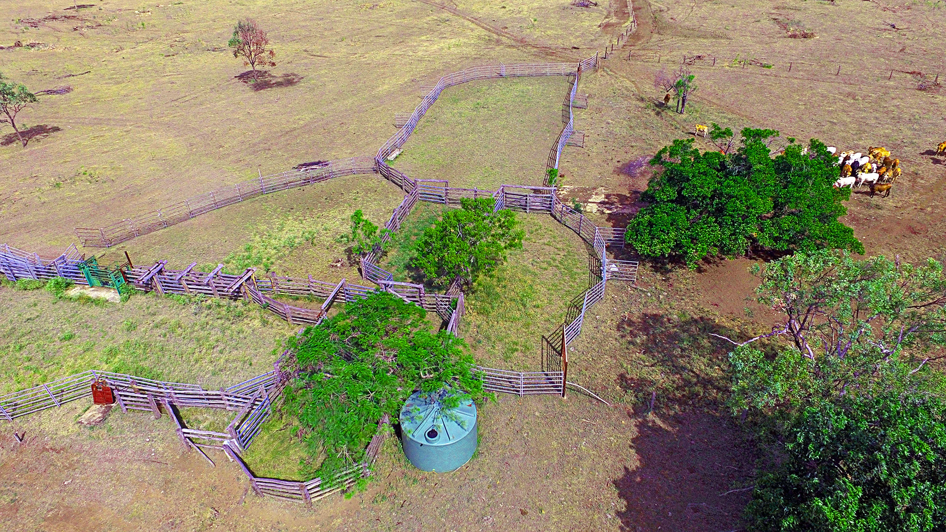 Spring Creek – Beef To Reef Enterprises